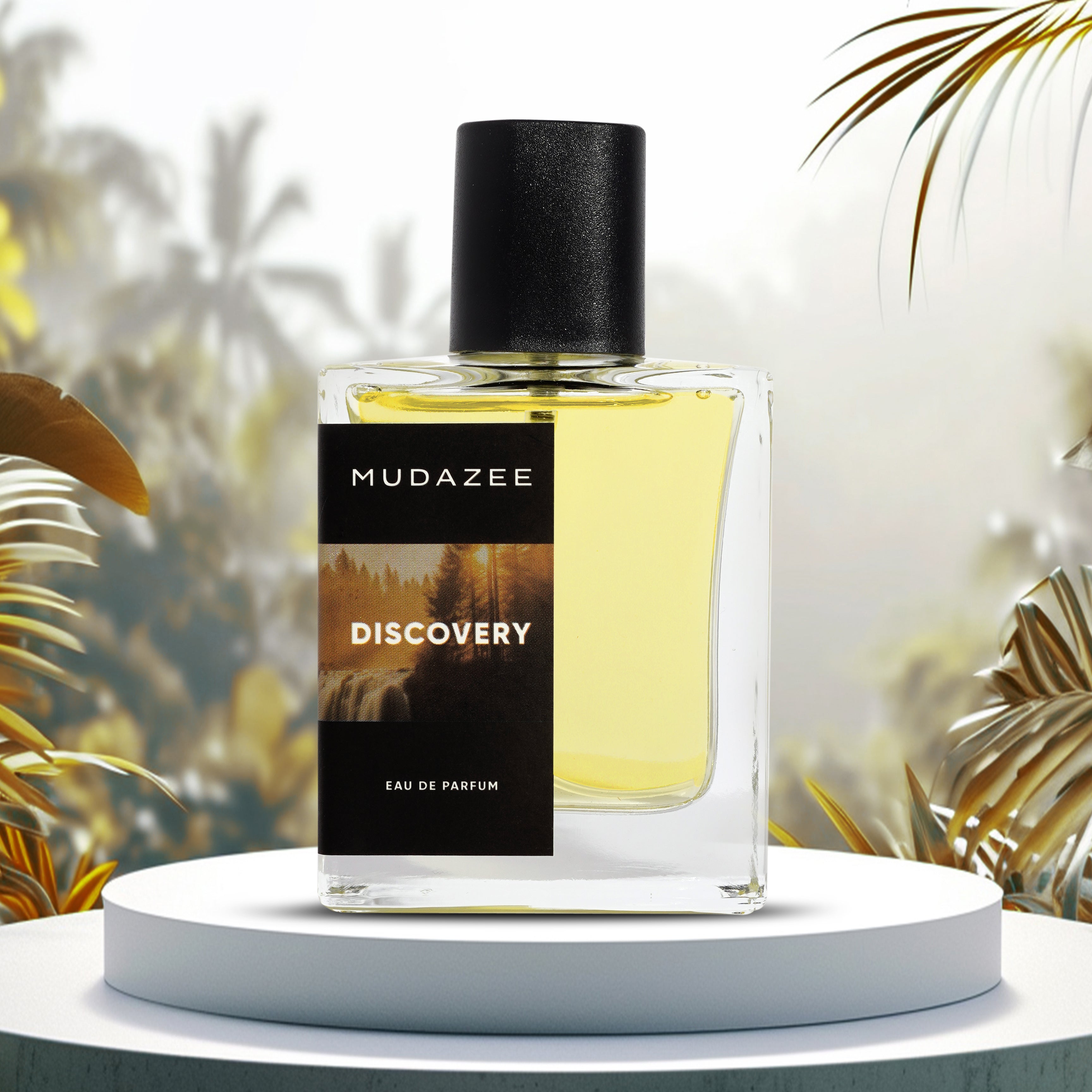 Discovery – MUDAZEE